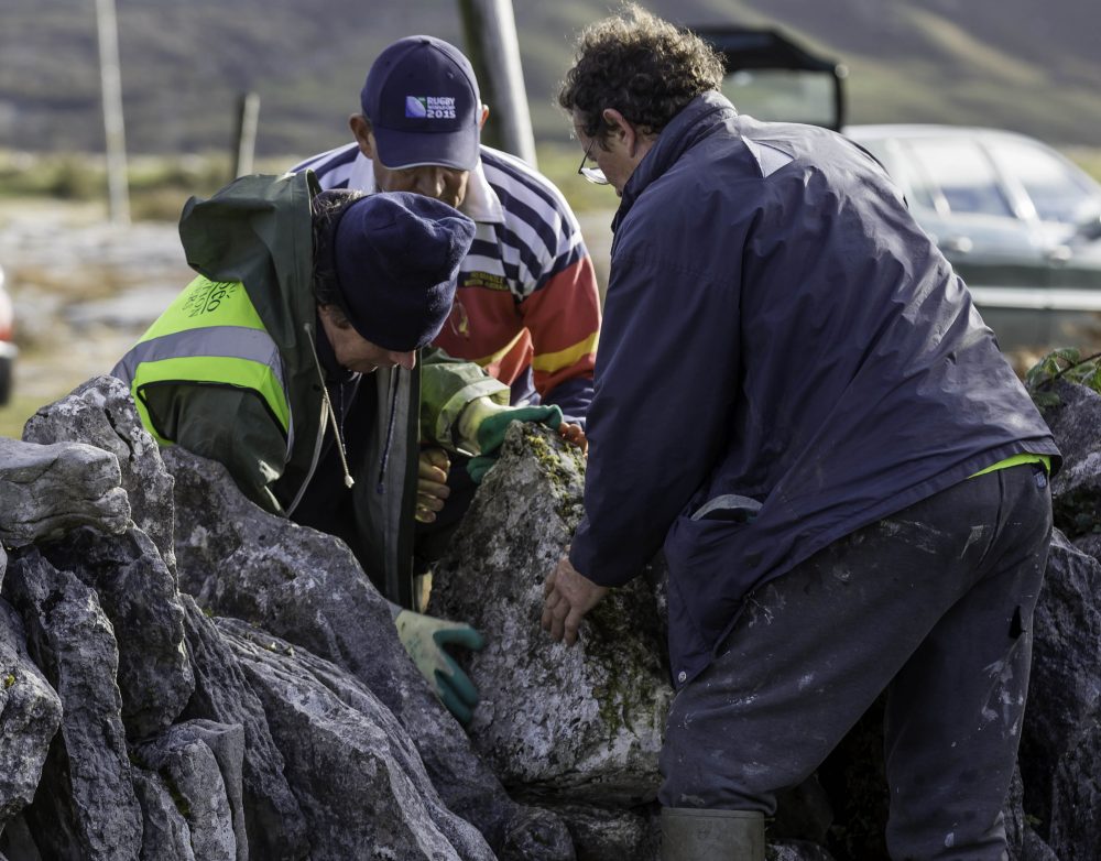 Developing sustainable tourism practices among local businesses | The ...
