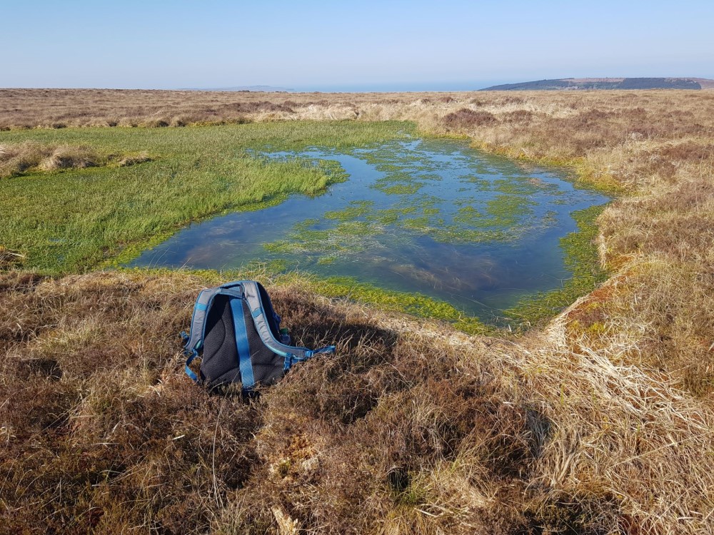 The smallest Lake in Ireland is in the Burren. | The Burren and Cliffs ...